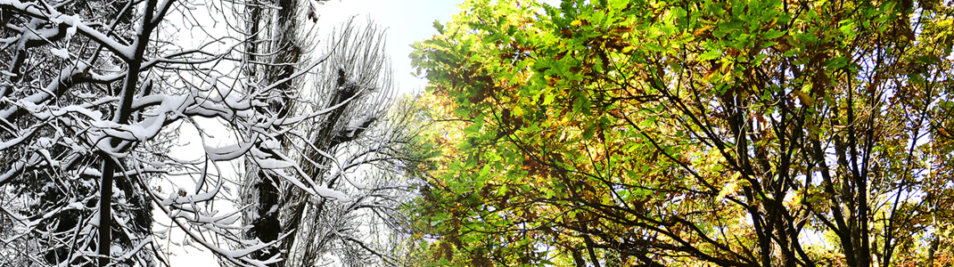 Healthy ways to get ready for spring, even when the weather isn't ...